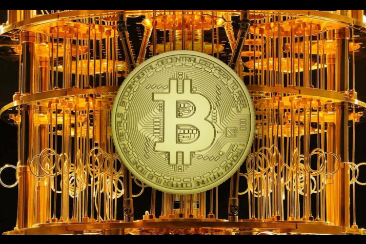Курс Orbit Protocol на сьогодні - Курс orbit-protocol (orbit) до долара ...